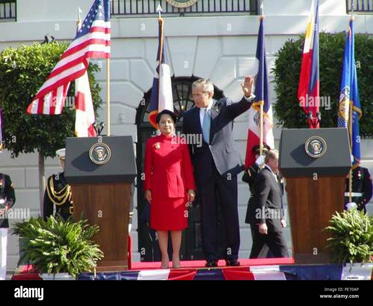 Arroyo with bush Stock Photo - Alamy