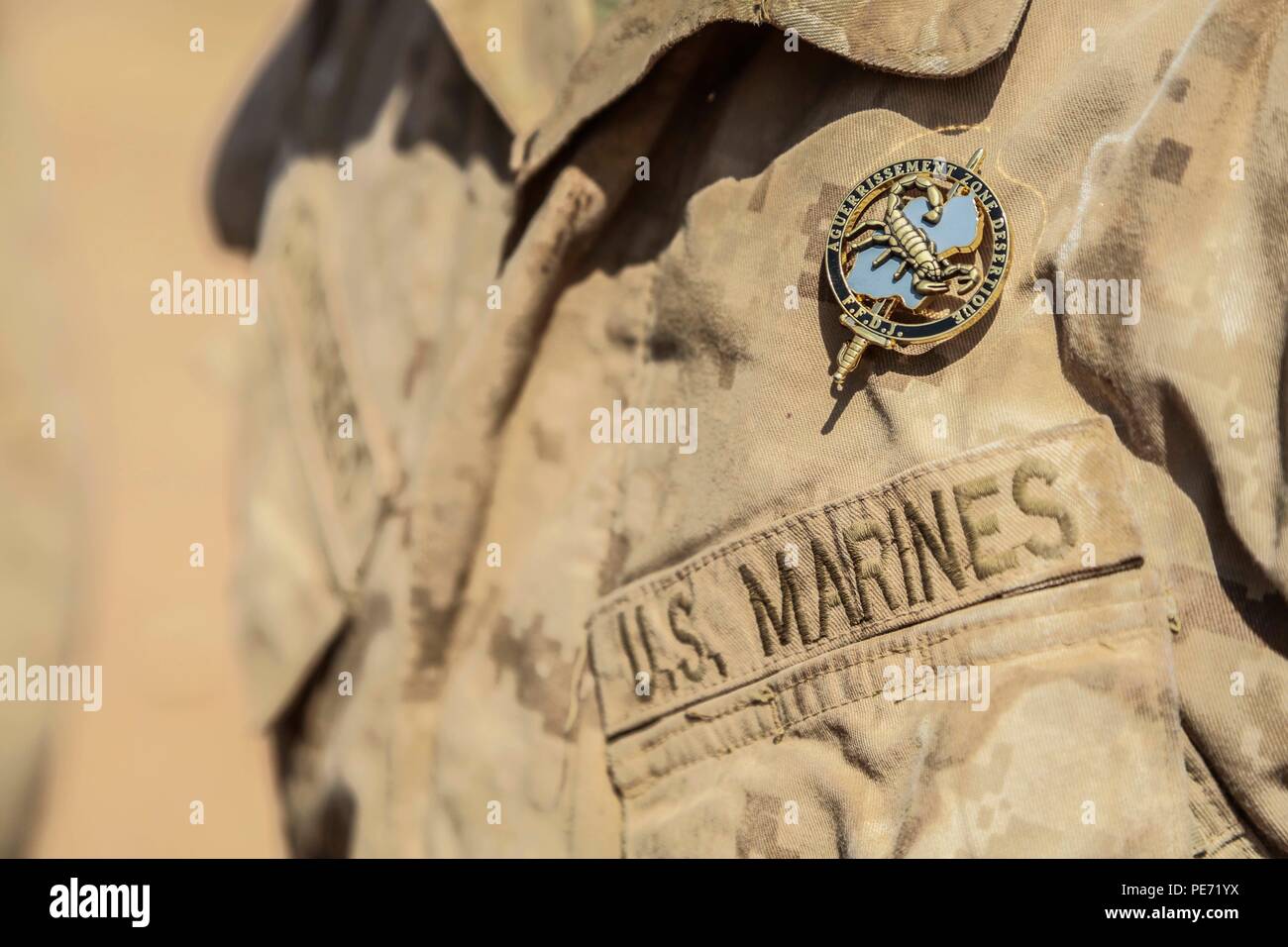 Commander of the french expeditionary corps hi-res stock photography ...