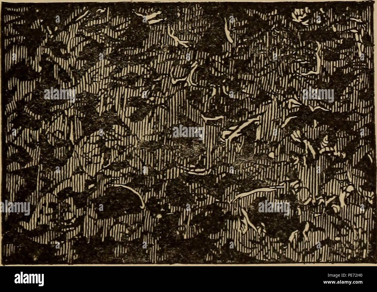 Steam boiler explosions hi-res stock photography and images - Alamy