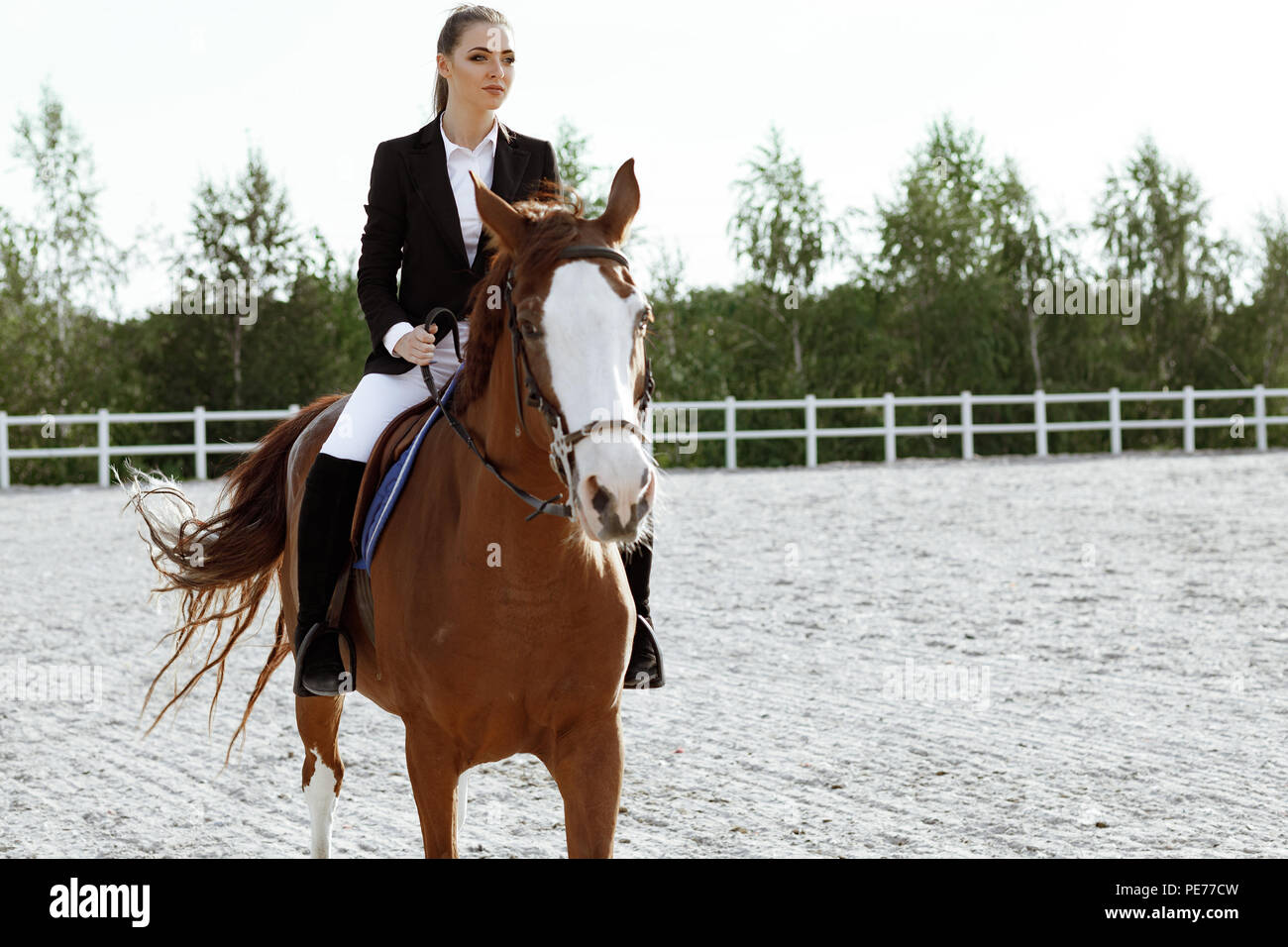 Rider elegant woman riding her horse outside Stock Photo - Alamy