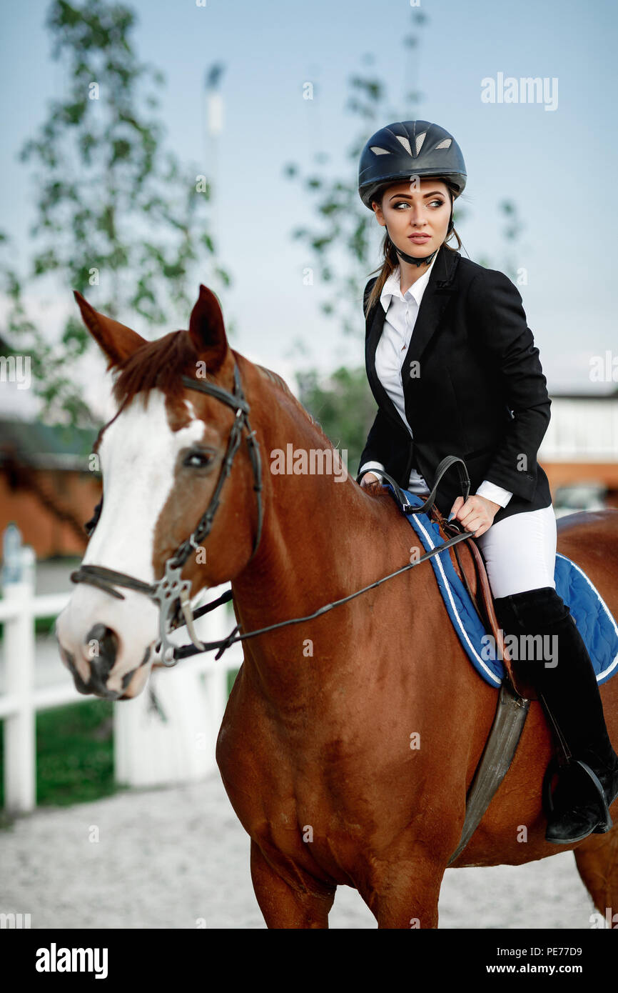 Rider elegant woman riding her horse outside Stock Photo - Alamy