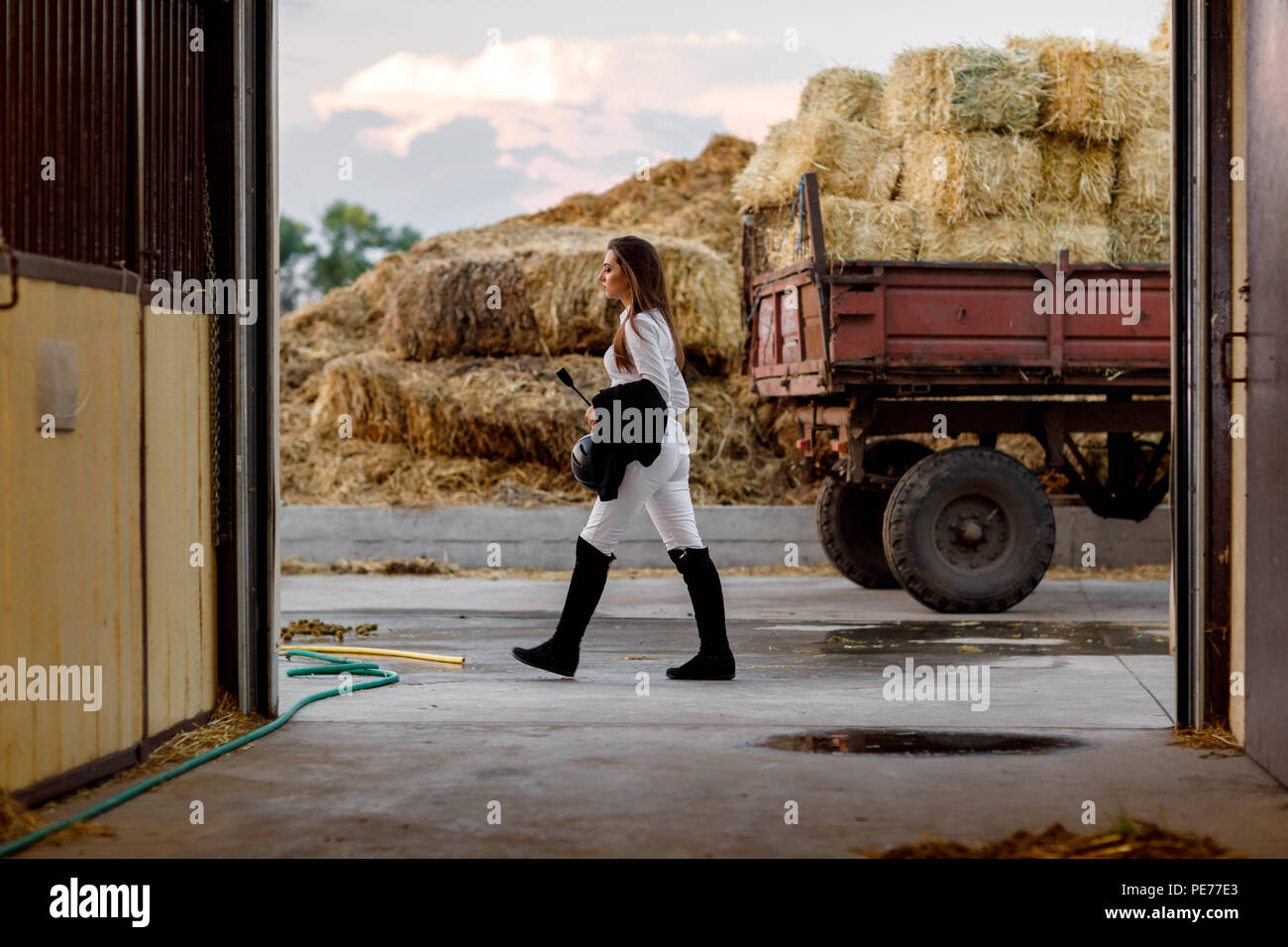 Stable Girl Leading Horse Horse High Resolution Stock Photography and ...