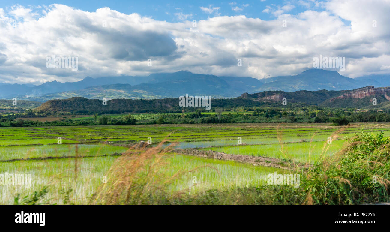 andes mountains with rice fields in southern amazon region of Peru ...