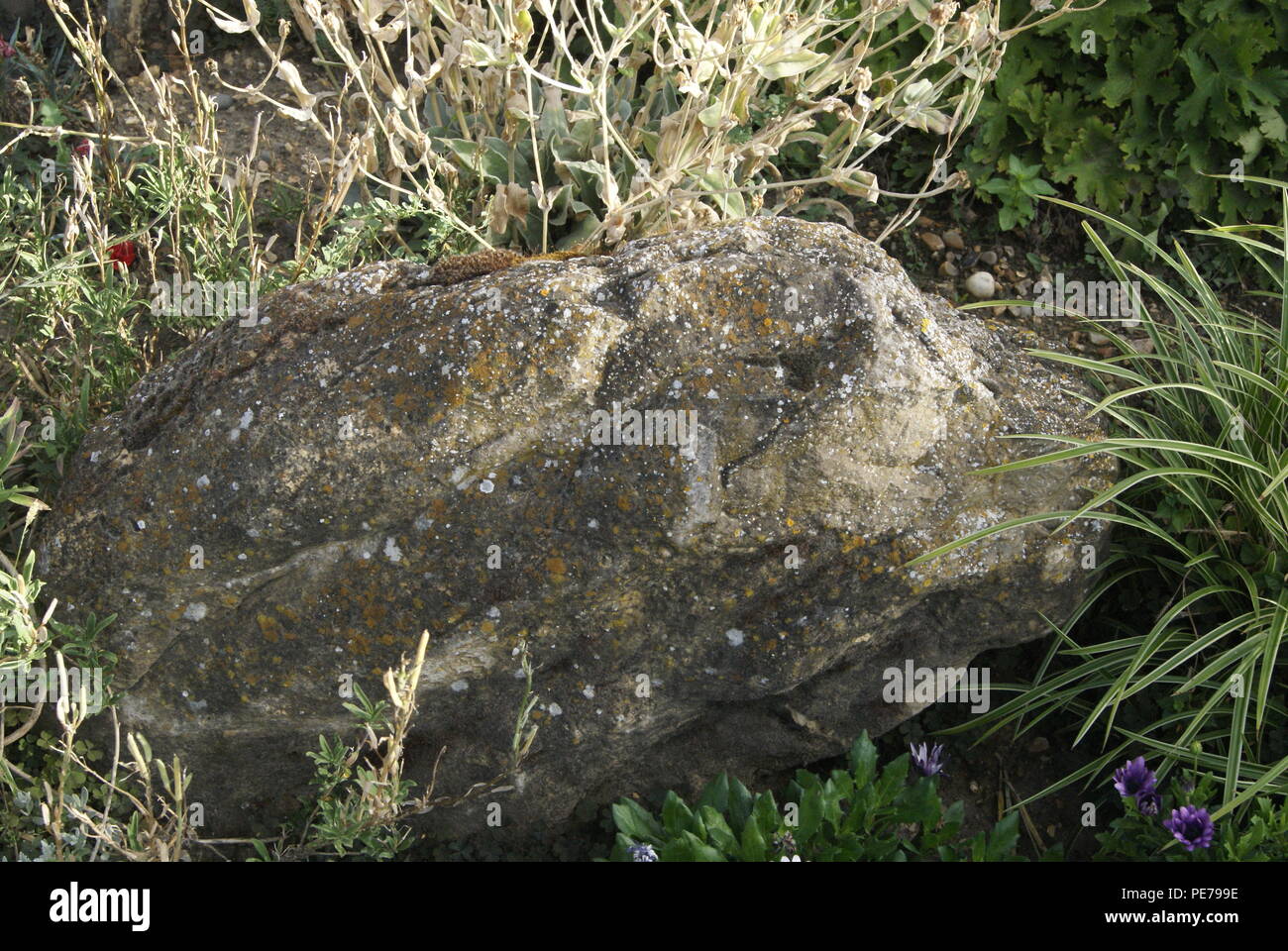 Pierre en or hi-res stock photography and images - Alamy