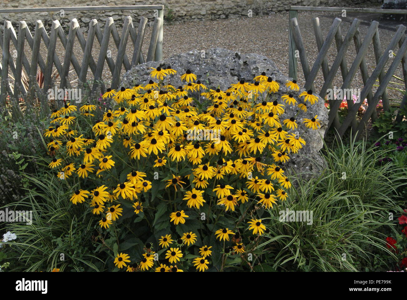 fleurs de France Stock Photo - Alamy
