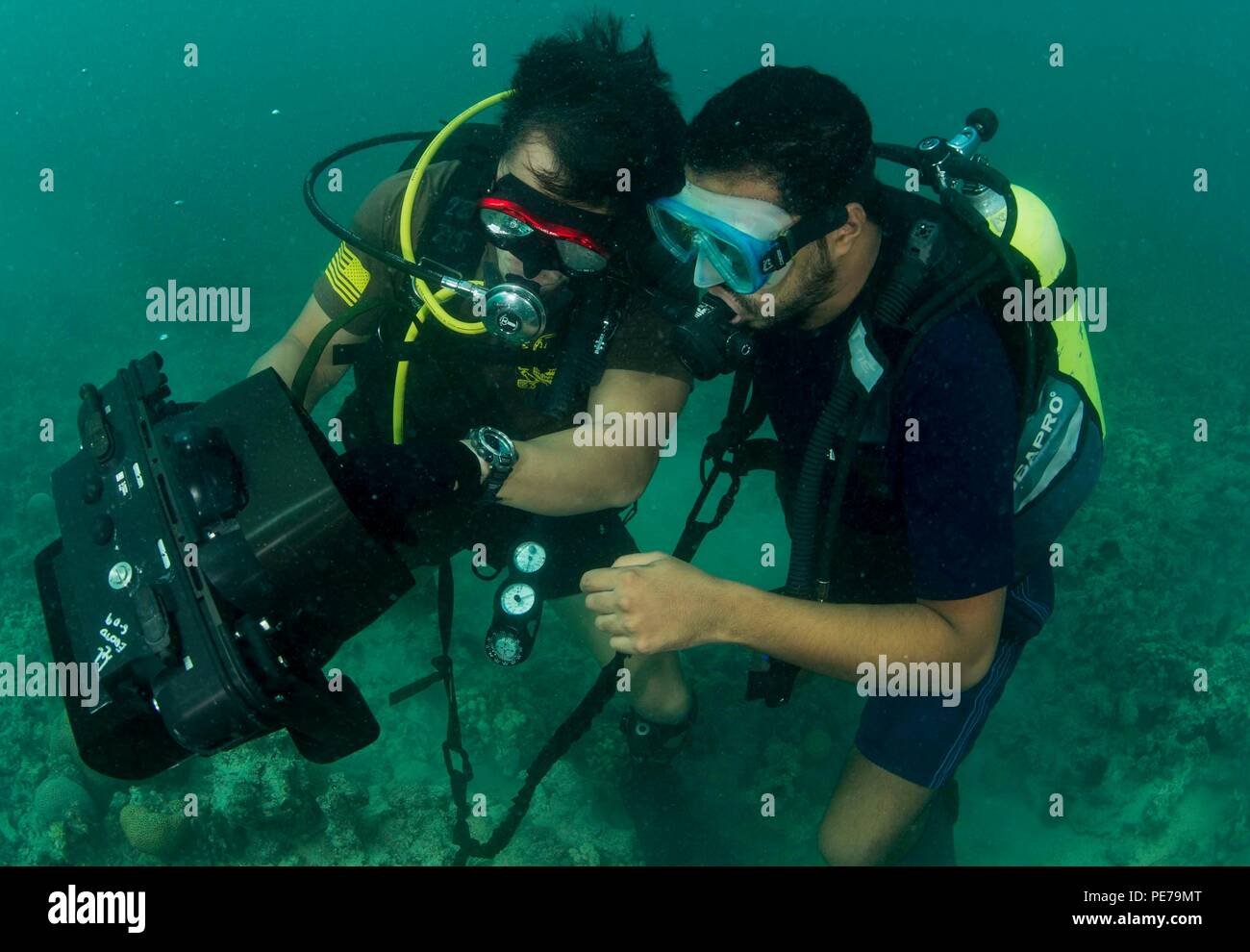 Member fleet diving group hi-res stock photography and images - Alamy