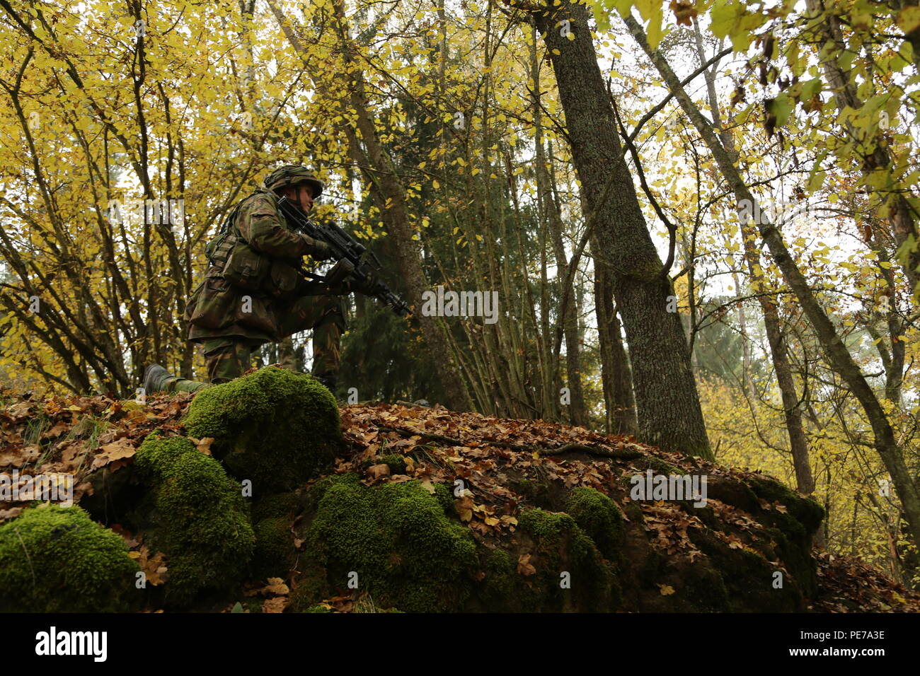 Dutch 43rd brigade hi-res stock photography and images - Alamy