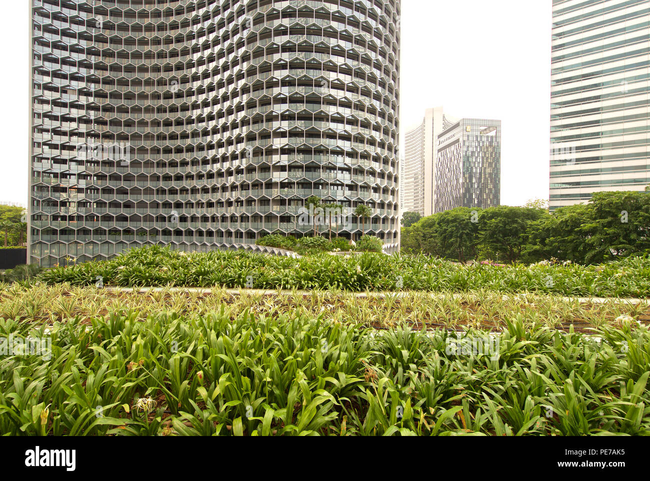 Duo Residences Singapore Stock Photo - Alamy