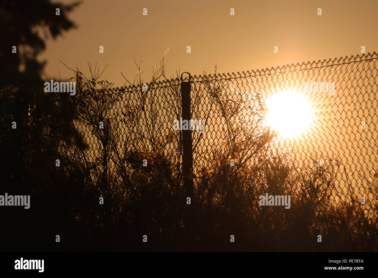 Yelm washington hi-res stock photography and images - Alamy