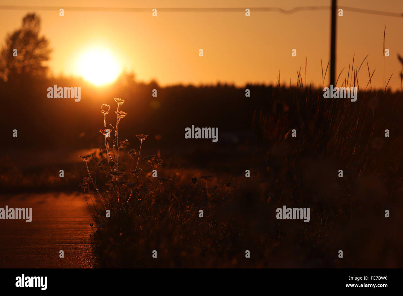 Yelm washington hi-res stock photography and images - Alamy