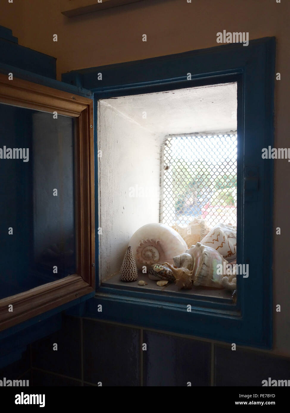 Large beach shell collection on window ledge Stock Photo - Alamy