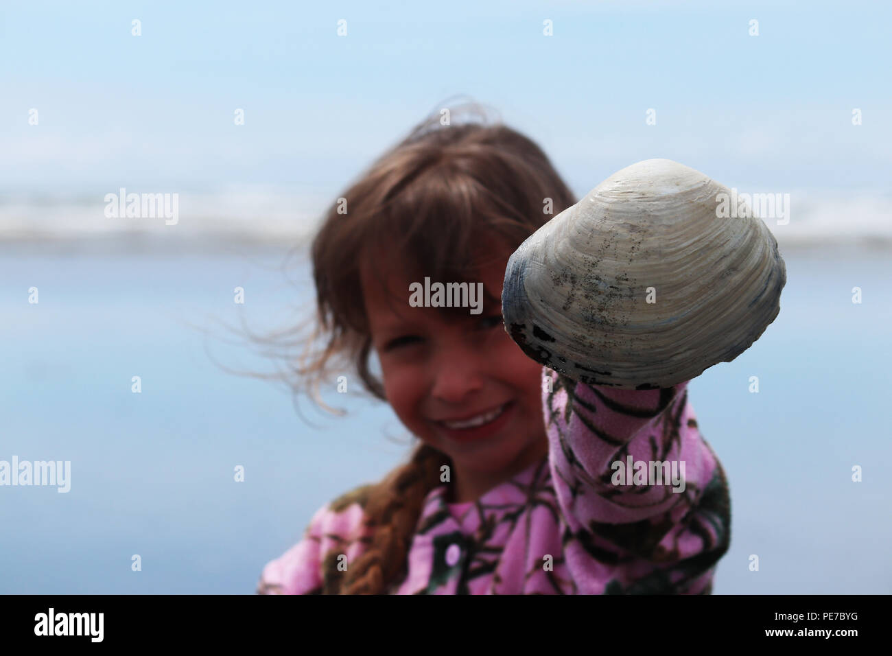 Shell collecting and beach hi-res stock photography and images - Alamy