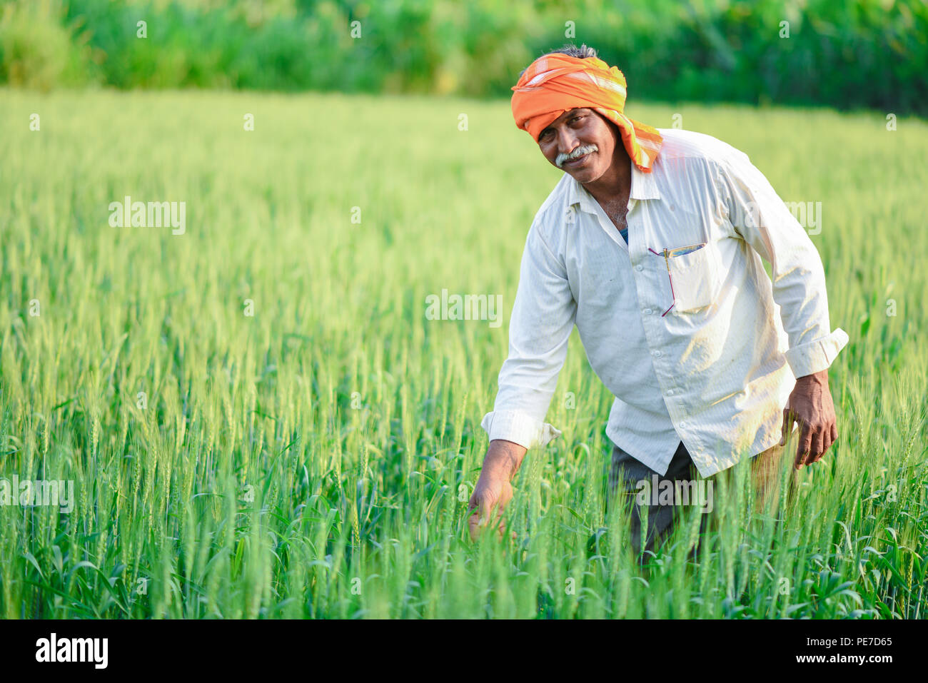 Indian farmer hi-res stock photography and images - Alamy