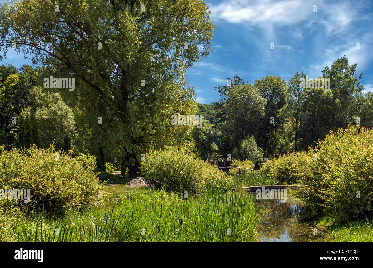 rest in the park. beautiful nature Stock Photo - Alamy