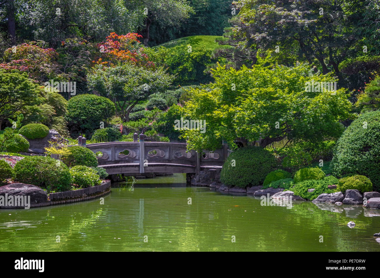 rest in the park. beautiful nature Stock Photo - Alamy