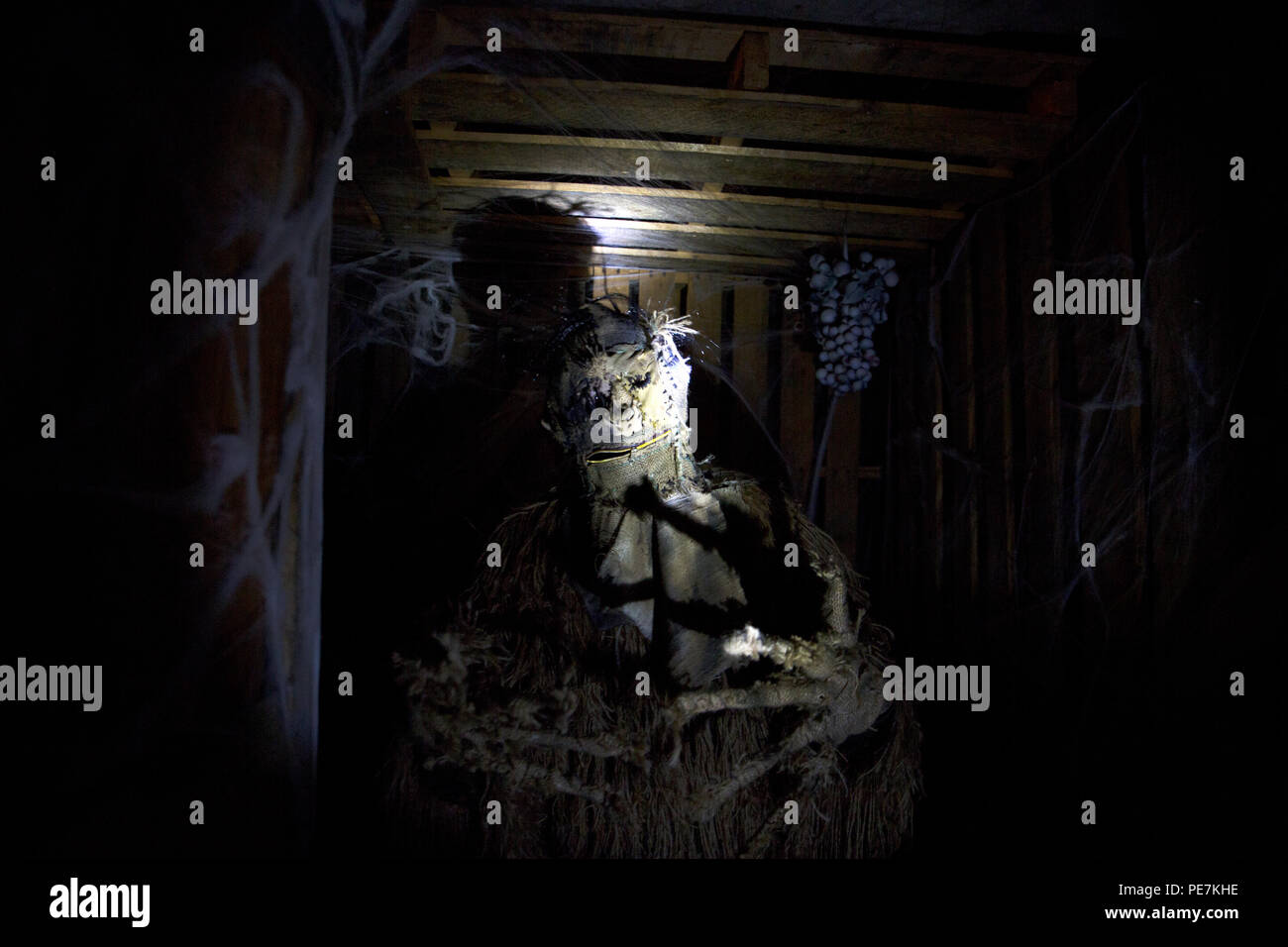 Smp design hi-res stock photography and images - Alamy