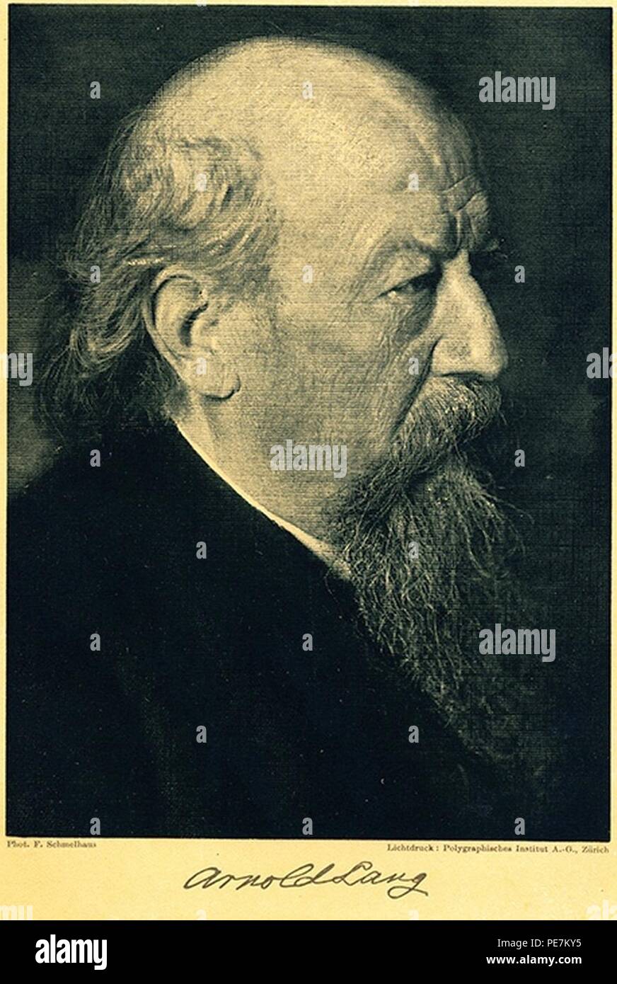 Arnold Lang 1855-1914 Stock Photo - Alamy