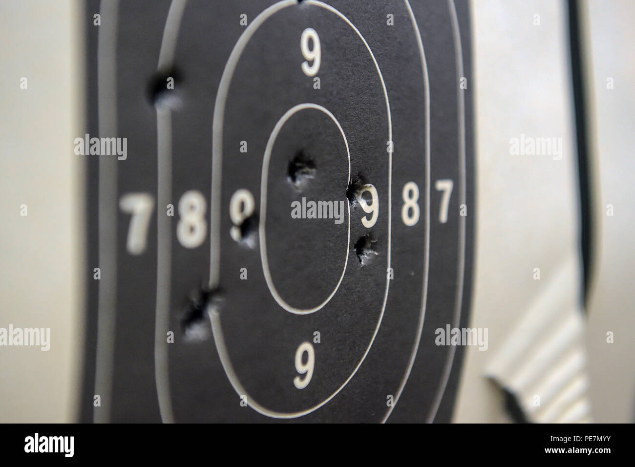 Pictured is a target from the 2015 Elementary Level Excellence in ...