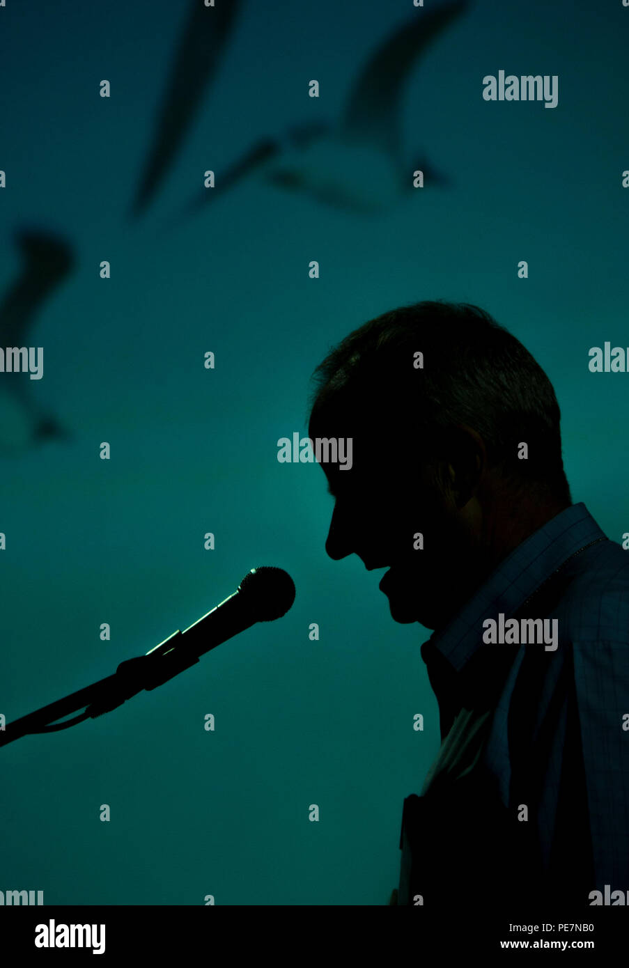 Peter Kaestner, Combined Joint Task Force-Horn of Africa political ...