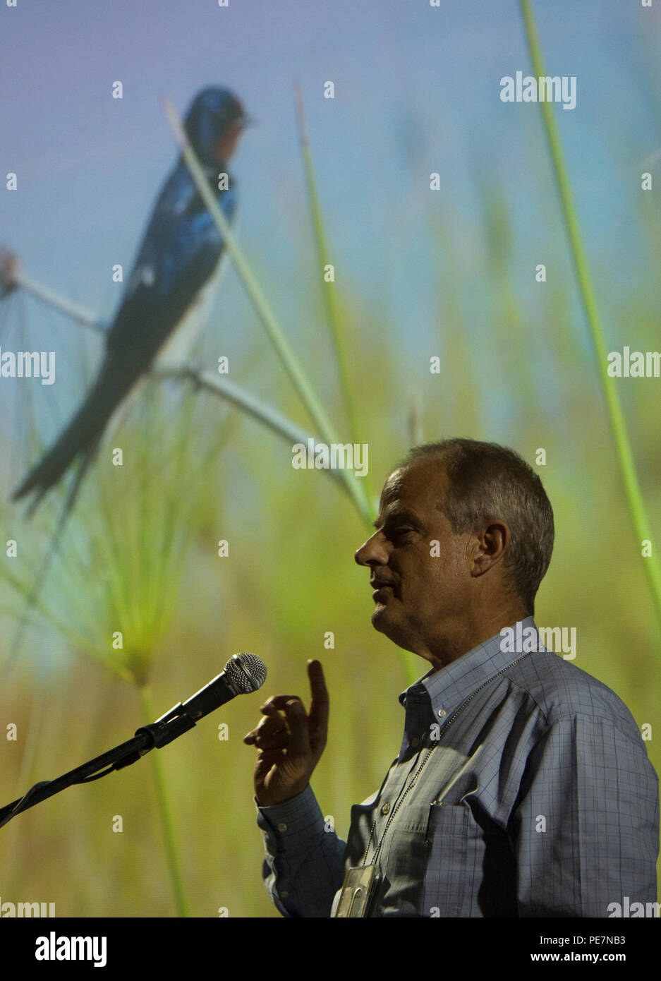 Peter kaestner hi-res stock photography and images - Alamy