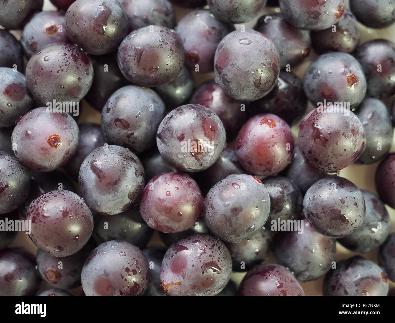 Korean fruit organic grapes Stock Photo - Alamy