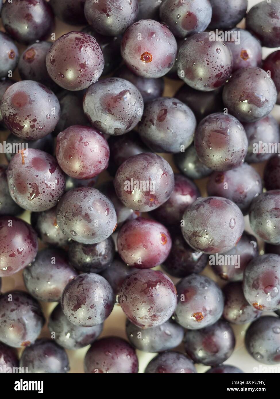 Korean fruit organic grapes Stock Photo - Alamy