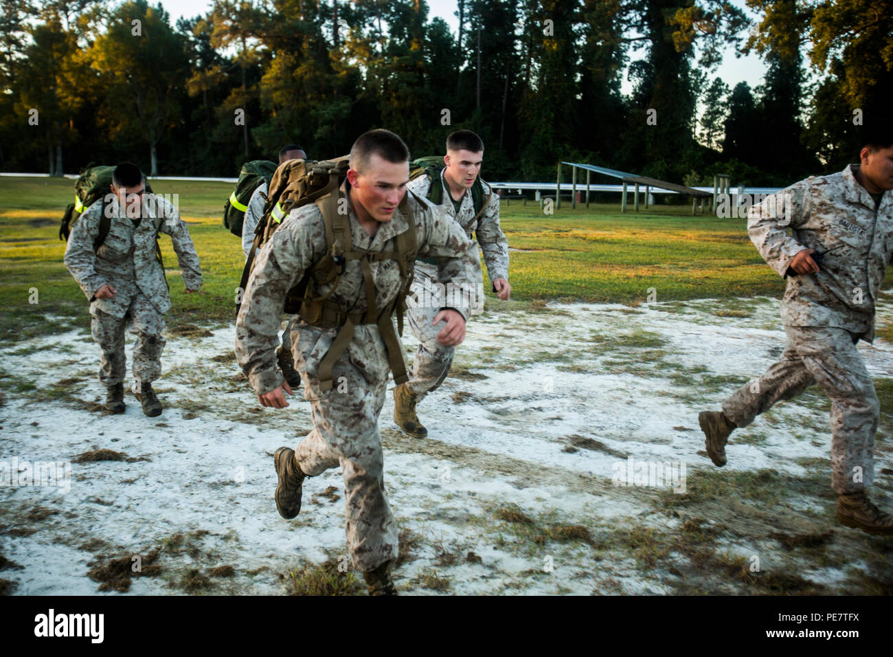 Scout sniper screener hi-res stock photography and images - Alamy