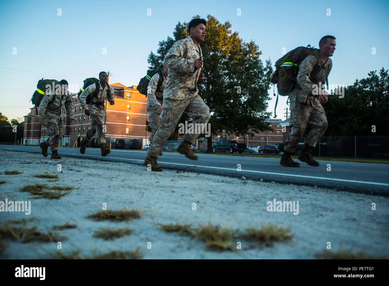 Scout sniper screener hi-res stock photography and images - Alamy