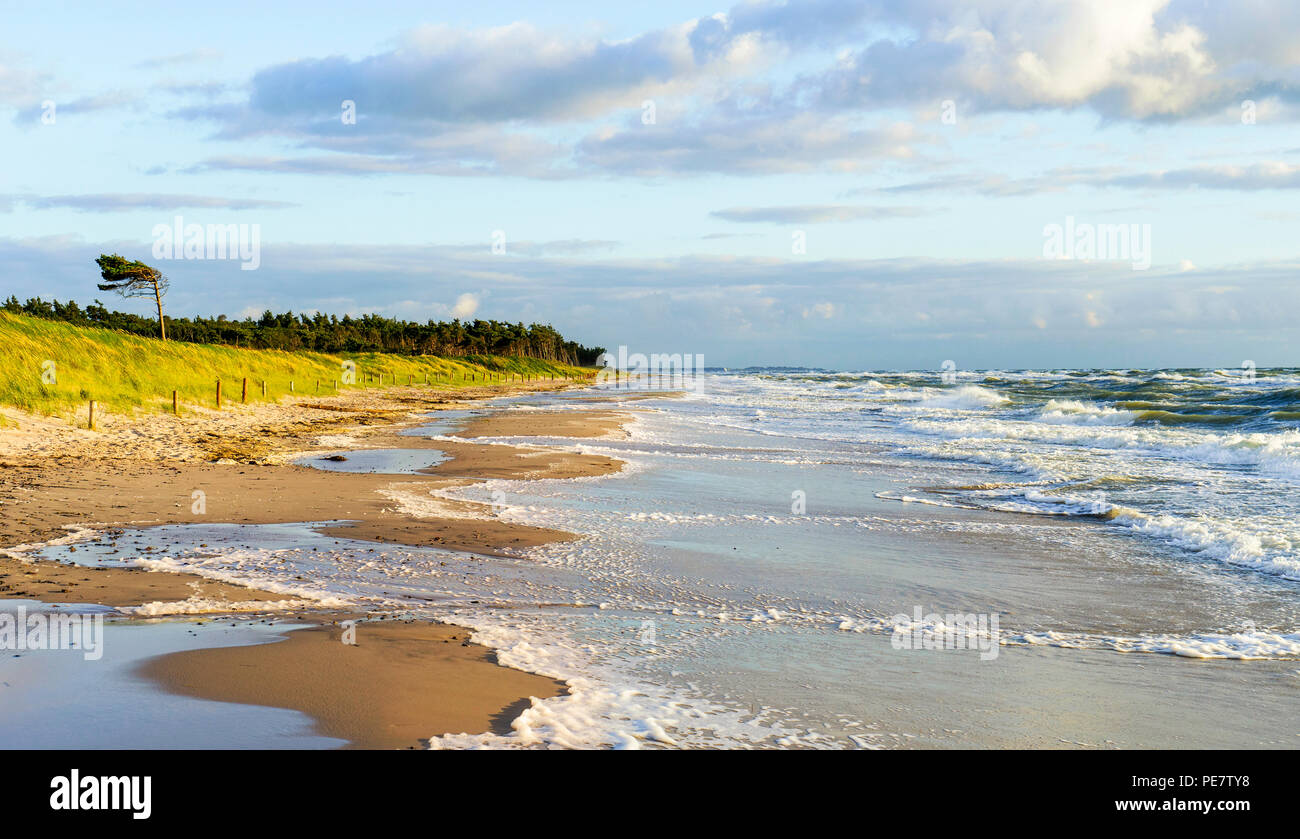 Ostsee kste hi-res stock photography and images - Alamy