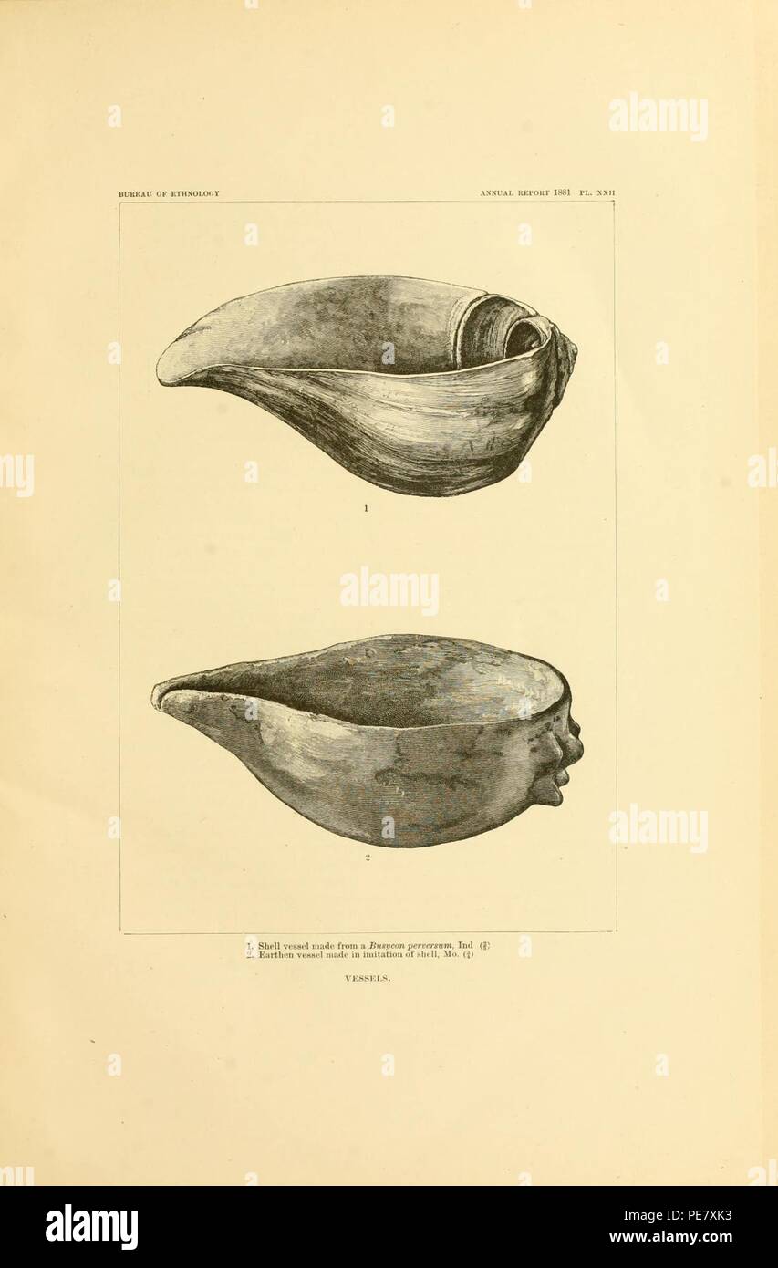 Art in shell of the ancient Americans Stock Photo - Alamy