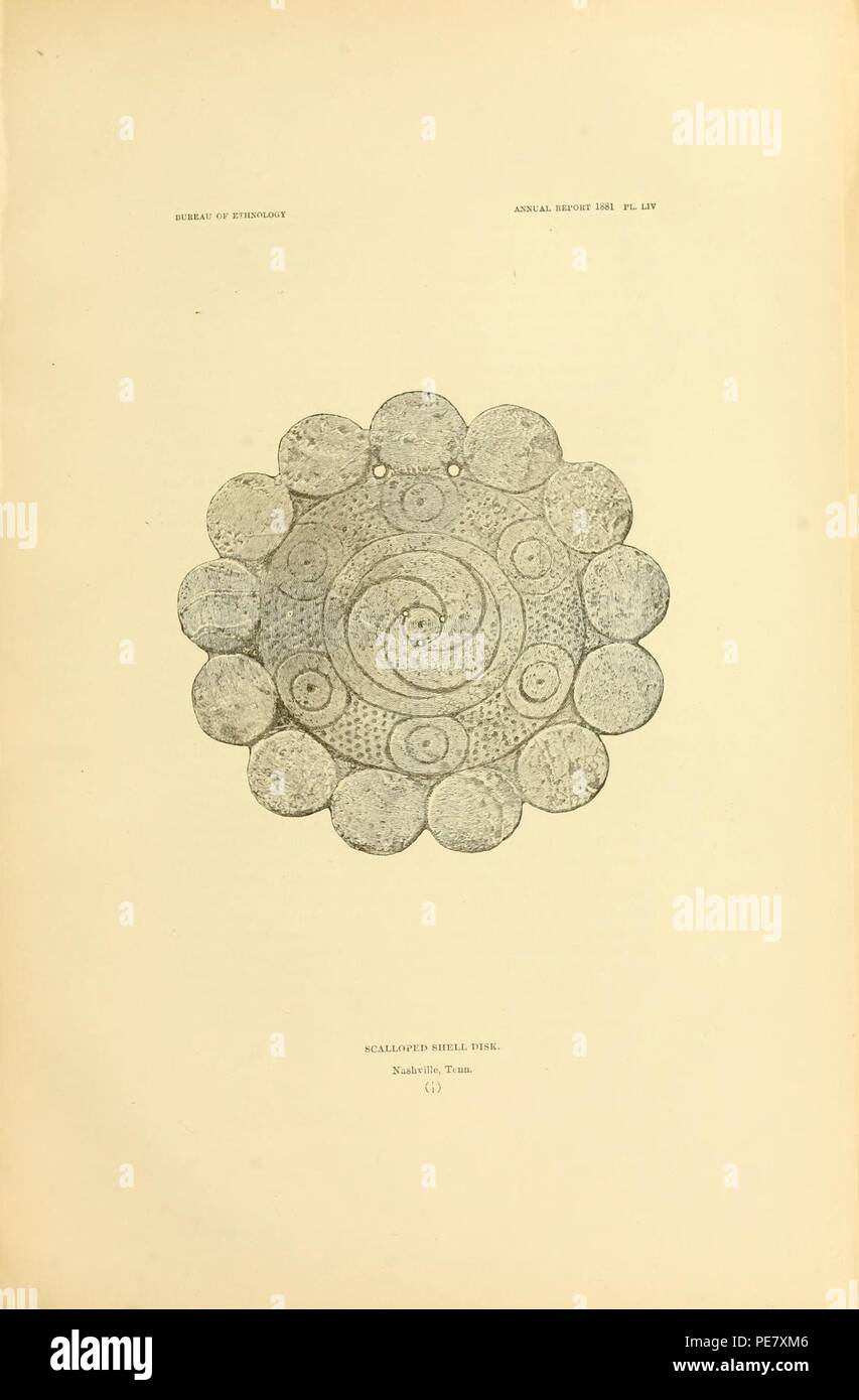 Art in shell of the ancient Americans Stock Photo - Alamy