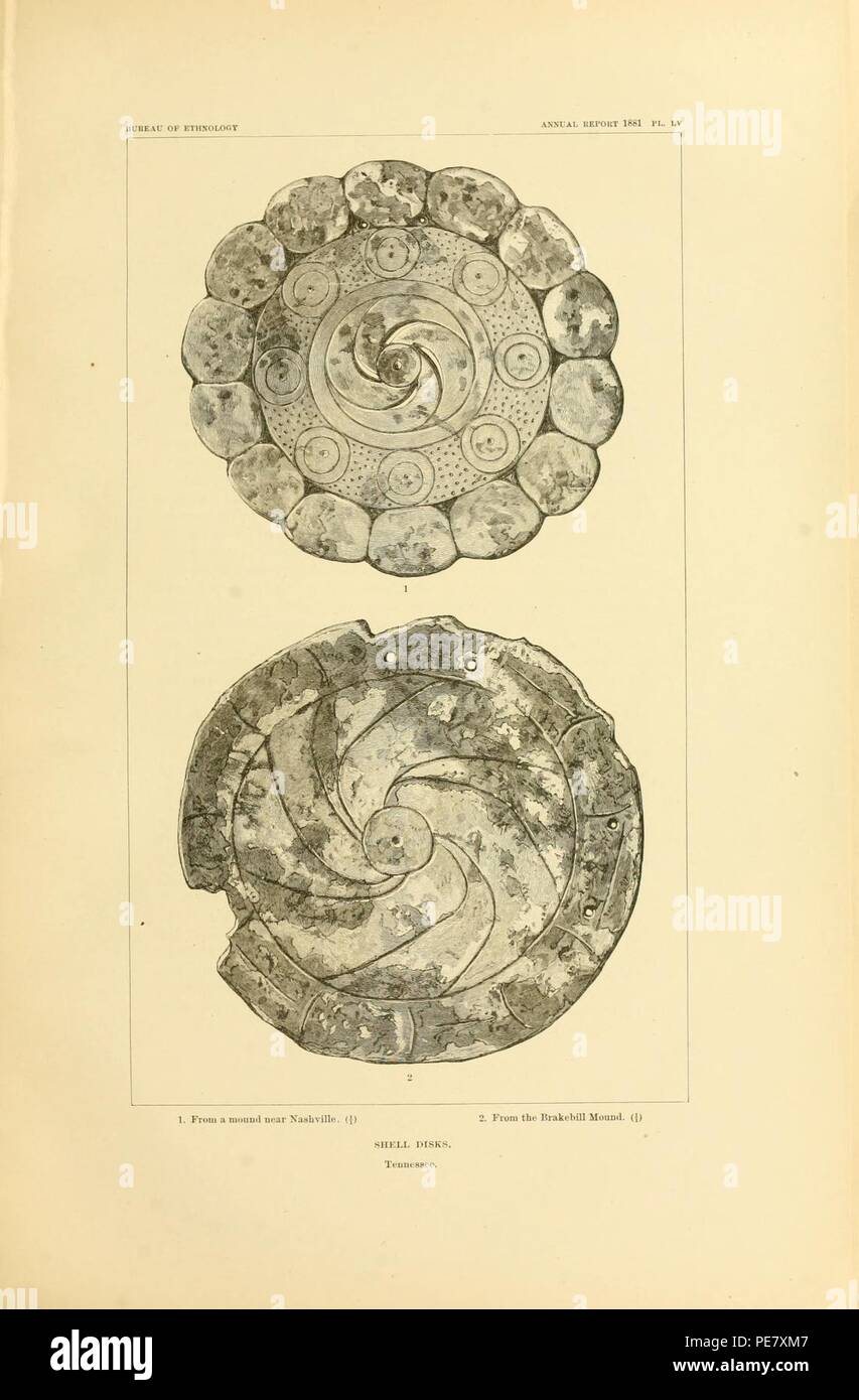 Art in shell of the ancient Americans Stock Photo - Alamy