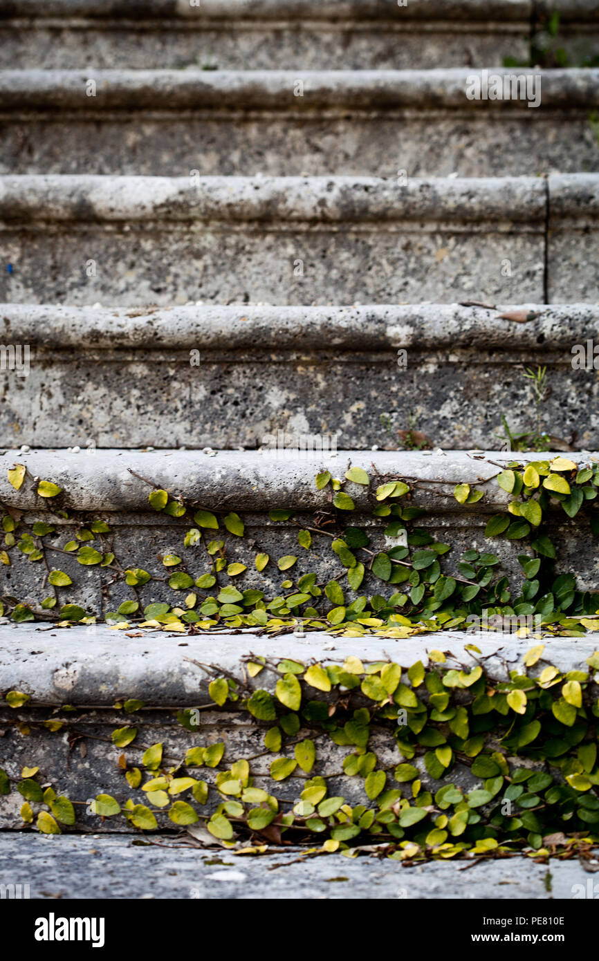 Old stairs in park hi-res stock photography and images - Alamy