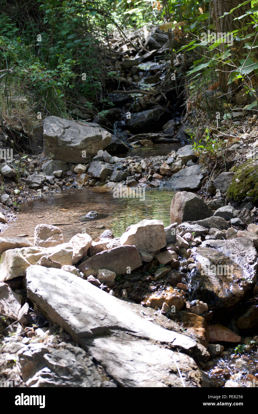 Creek flowing into a pond Stock Photo - Alamy
