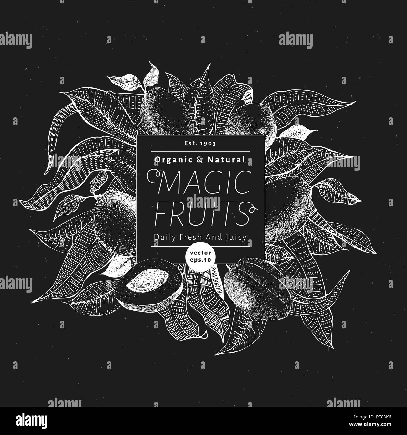 Mango fruit banner template. Hand drawn vector fruit illustration on ...