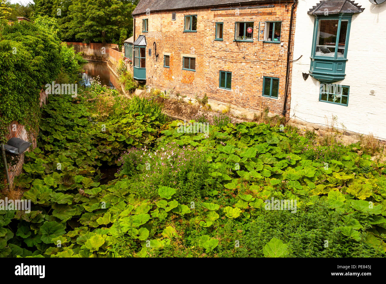 The Bridge antiques and homeware, Ashbourne, Derbyshire. UK Stock Photo ...