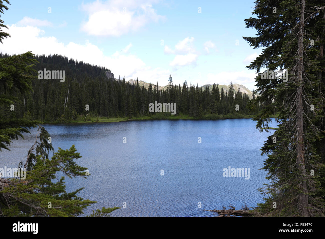 Sky reflection daylight park hi-res stock photography and images - Alamy