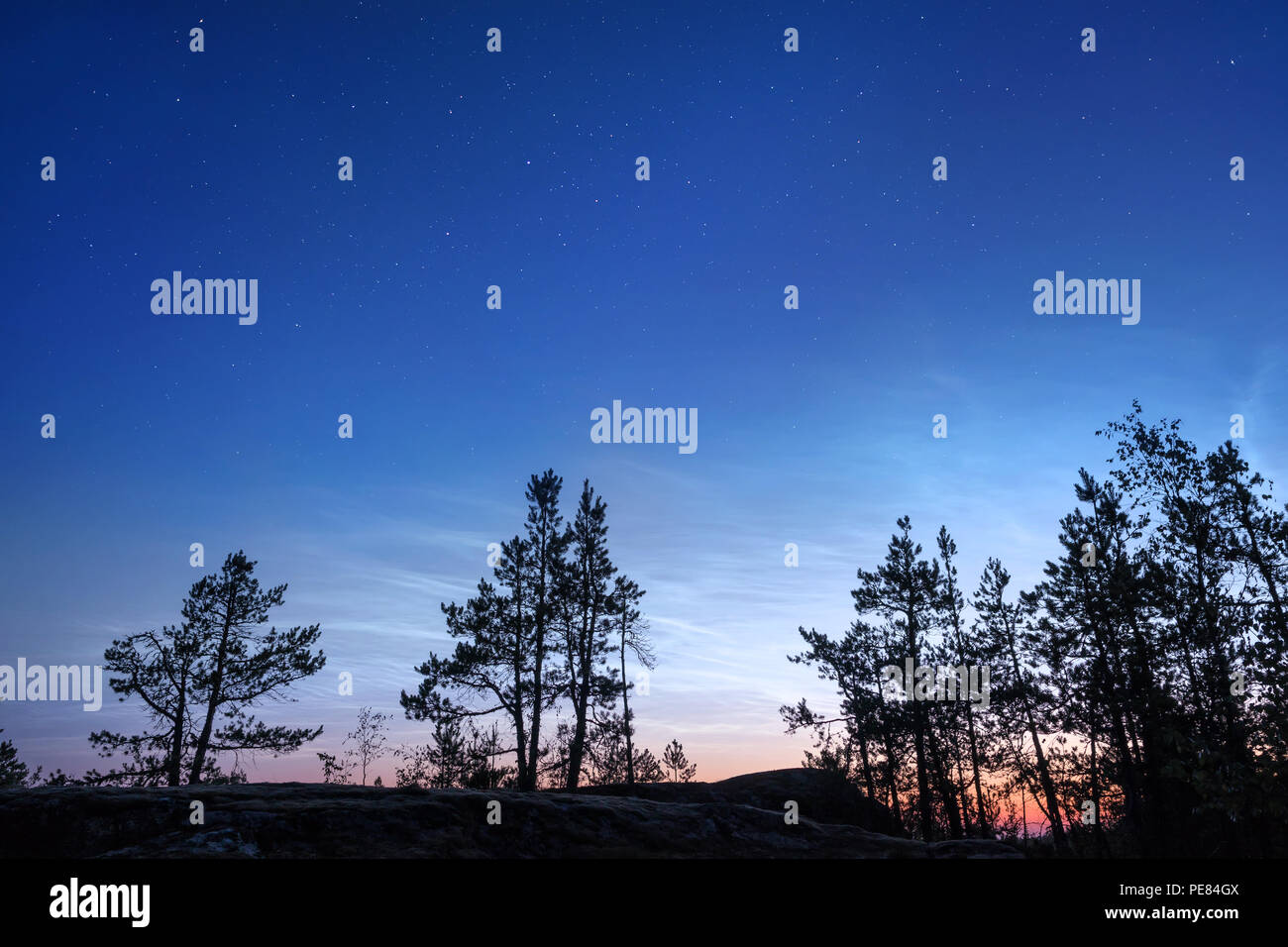 Starry sky over forest hi-res stock photography and images - Alamy
