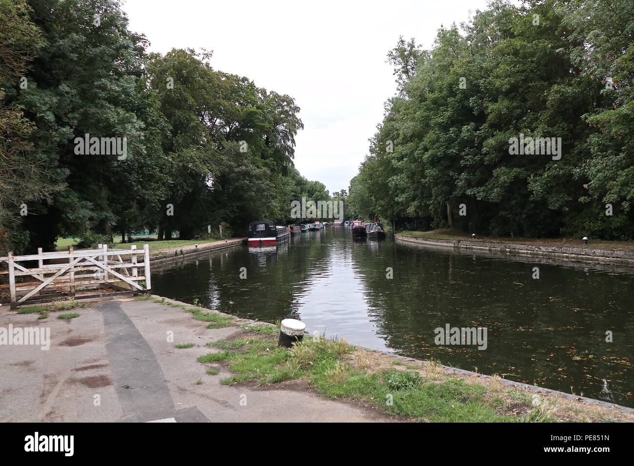 Wildlife on the grand union canal hi-res stock photography and images ...