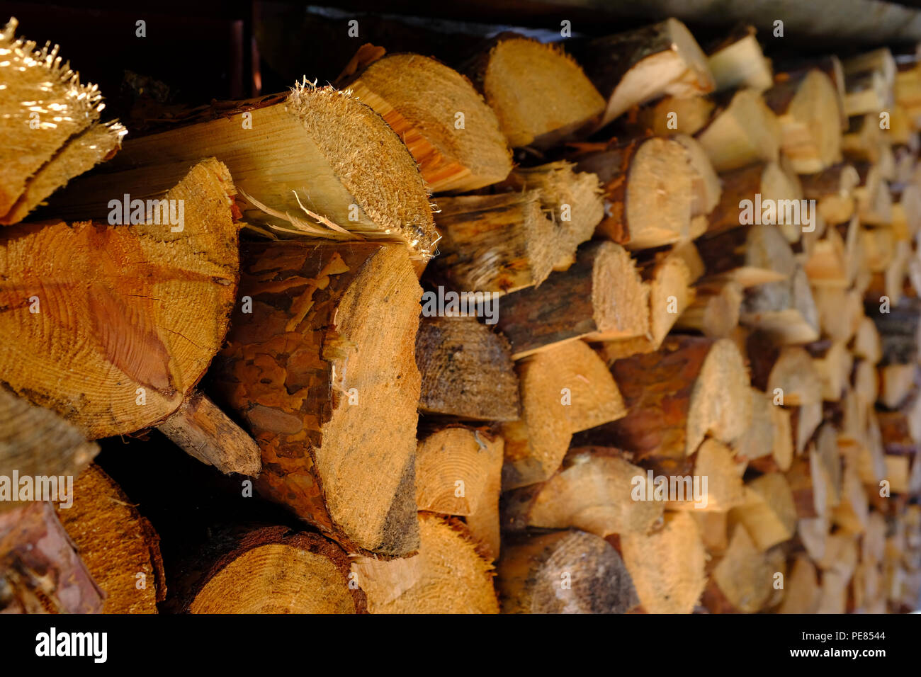Wooden logs in a pile Stock Photo - Alamy