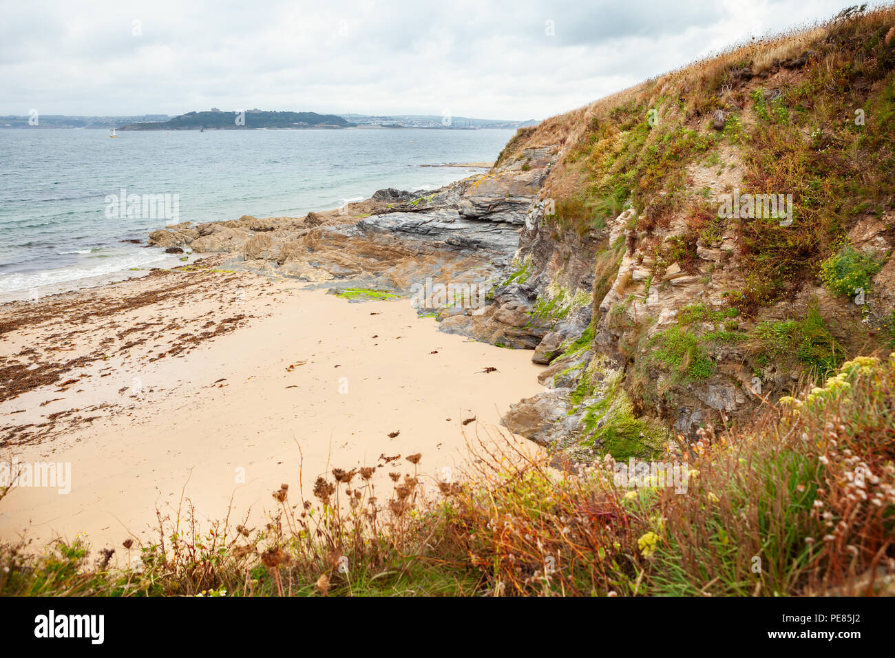Roseland cornwall wild flowers hi-res stock photography and images - Alamy