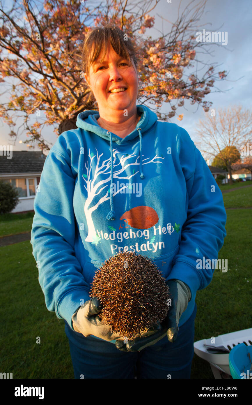 Tracy pierce hi-res stock photography and images - Alamy