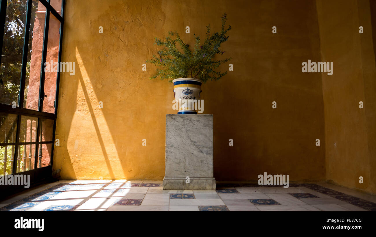 A potted plant in the Alcazar of Seville, Spain Stock Photo - Alamy
