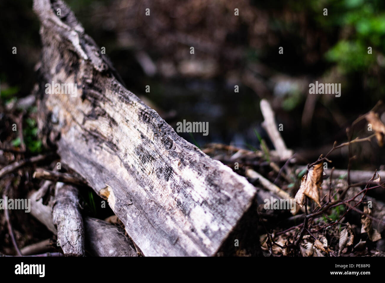 The nature doing his everything in his way Stock Photo - Alamy