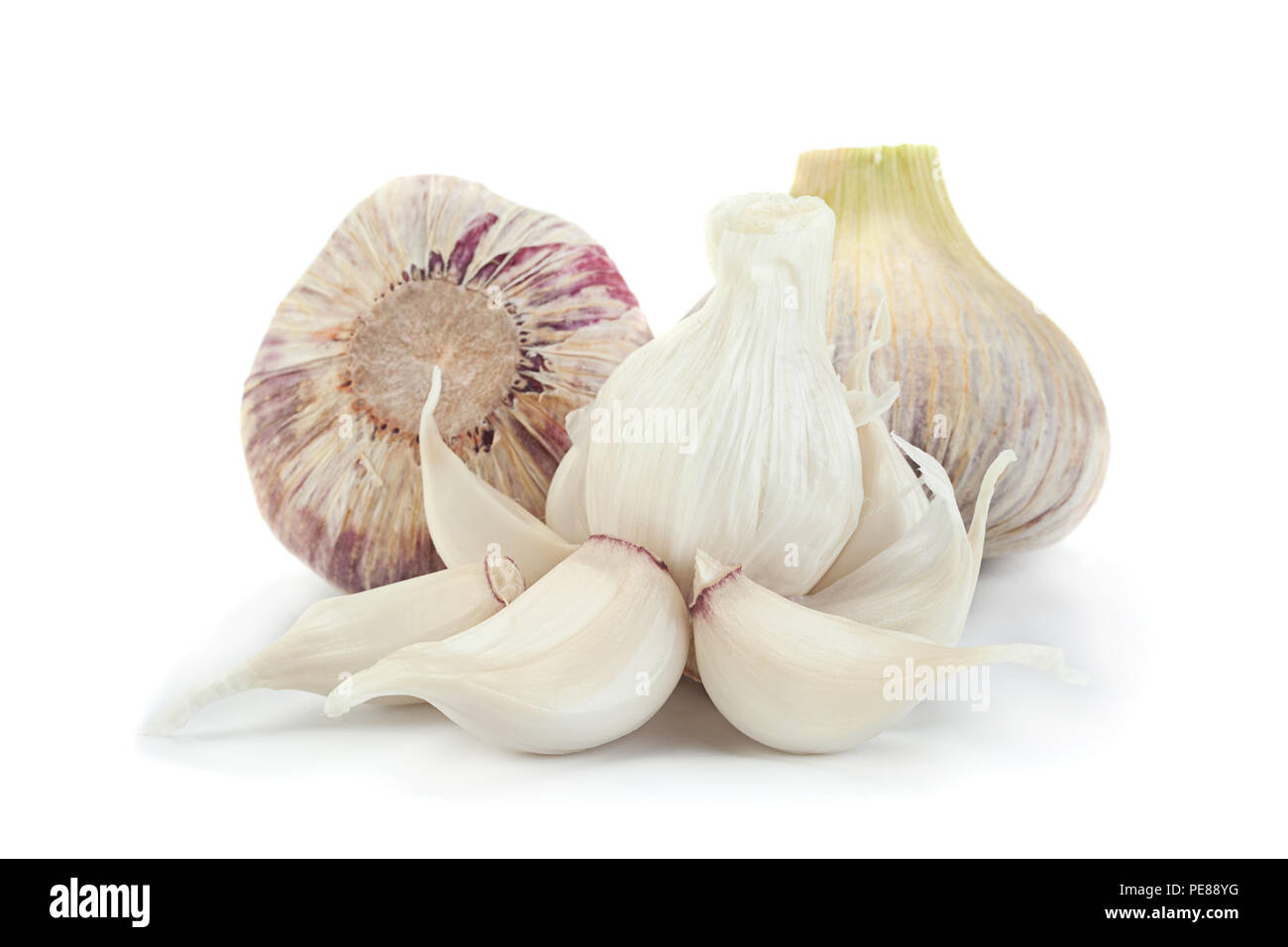 Young big garlic closeup isolated on white background Stock Photo - Alamy