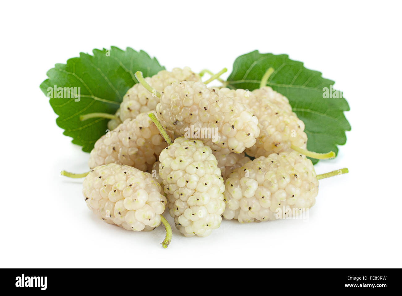 White Mulberry berry closeup isolated on light background Stock Photo ...