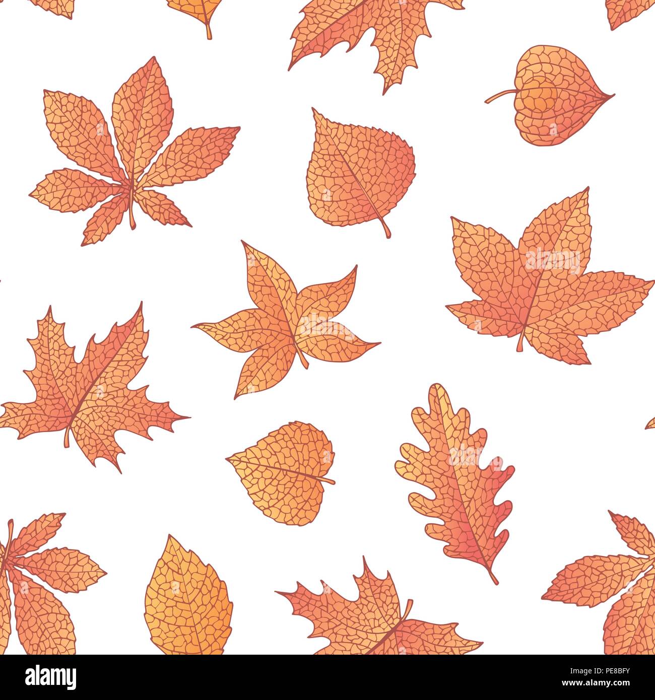 Aspen leaves illustration hi-res stock photography and images - Alamy