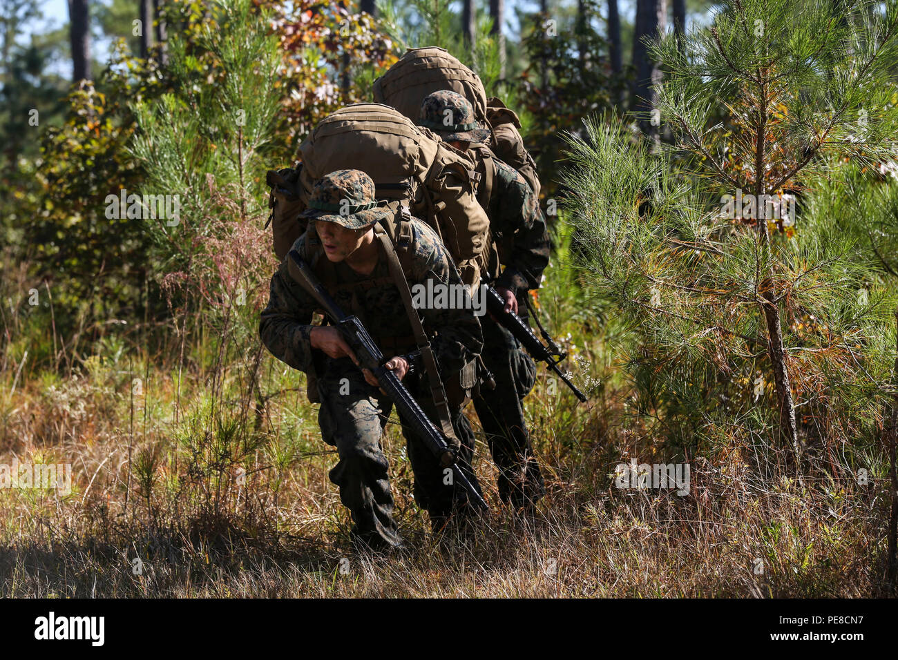 Marine candidates with 2nd Battalion, 8th Marine Regiment, prepare to ...