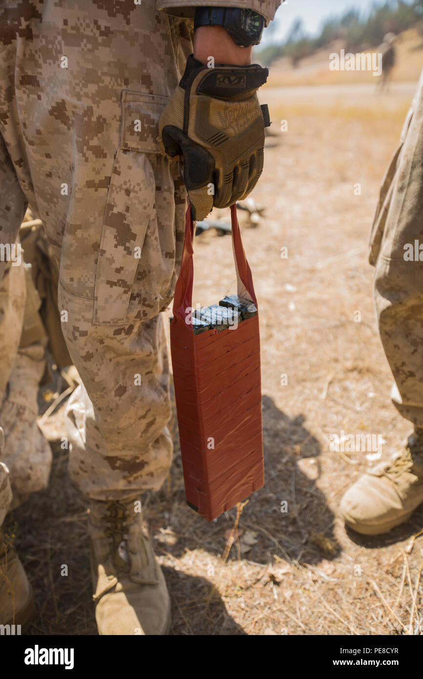 A U.S. Marine with Bravo Company, 1st Combat Engineer Battalion (1st ...
