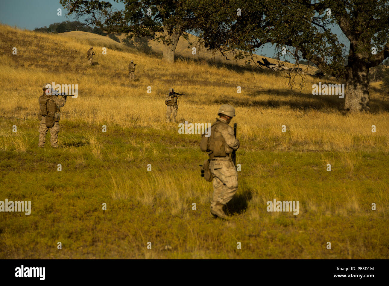 U.S. Marines with Bravo Company, 1st Combat Engineer Battalion (1st CEB ...